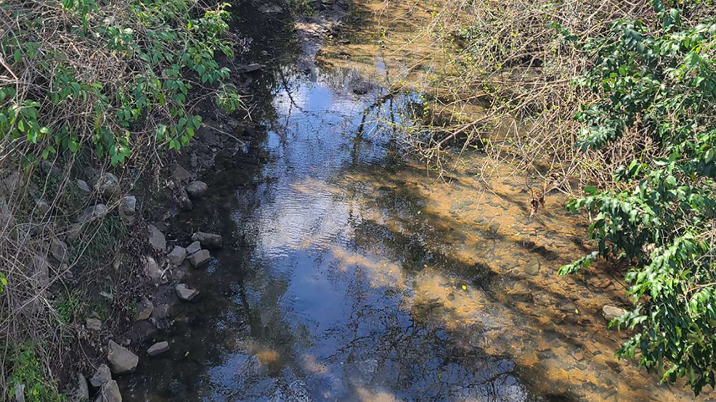 Stormwater | Raleighnc.gov